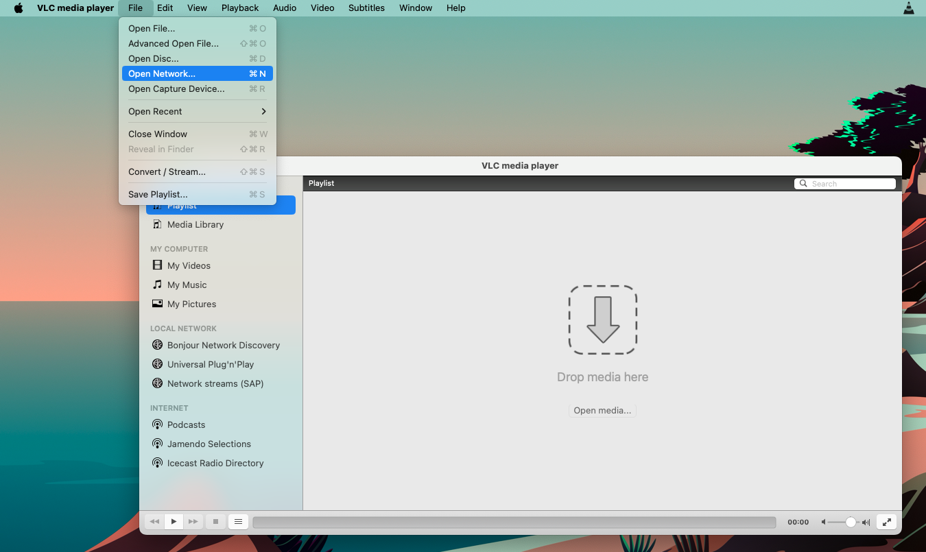 How to stream RTSP using a player